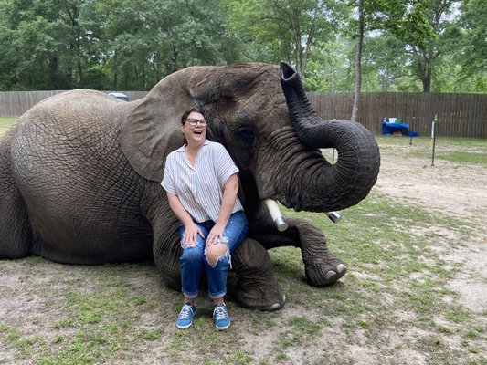 EAST TEXAS ELEPHANT EXPERIENCE - Updated September 2024 - 29 Photos ...