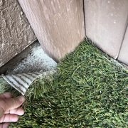 BIG BULLY TURF - 77 Photos & 29 Reviews - 350 Tenth Ave, San Diego ...