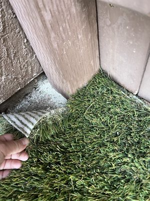 BIG BULLY TURF - 25 Photos & 11 Reviews - 350 Tenth Ave, San Diego ...