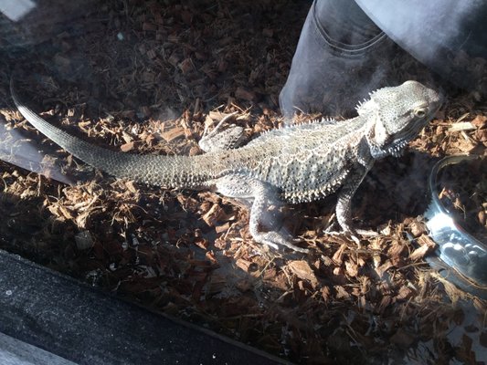 PET BAZAAR - Updated June 2025 - 23 Photos - 3848 George Washington Hwy ...