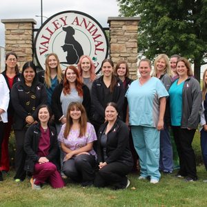 RIVER WEST ANIMAL HOSPITAL - Updated December 2025 - 2377 W Main St, St ...