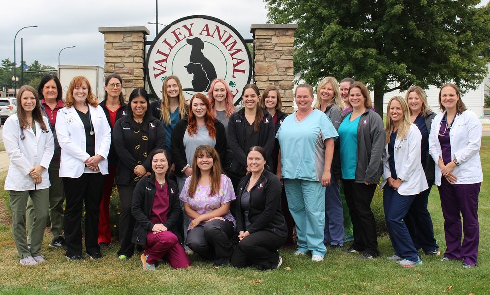 Valley Animal Hospital Geneva Il