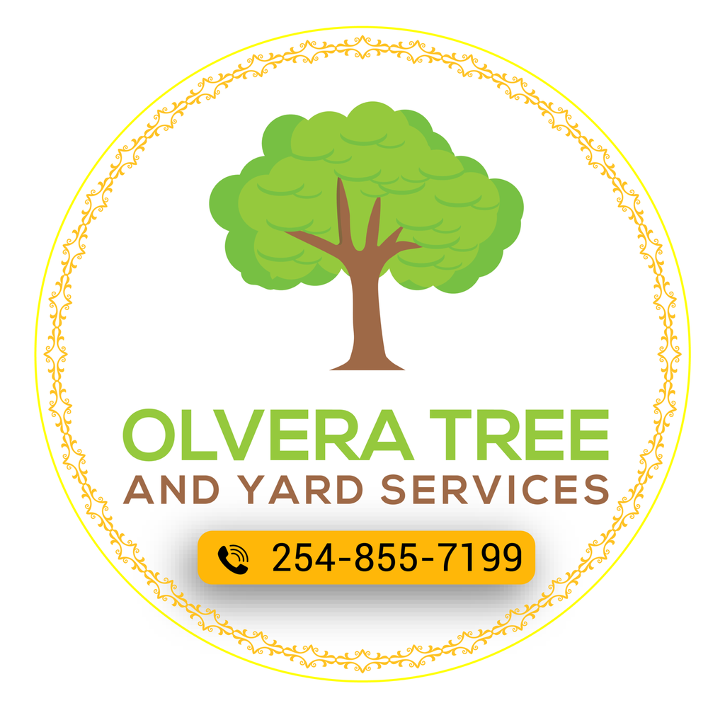 OLVERA TREE AND YARD SERVICES - Updated July 2025 - 4149 Hiland Dr ...