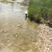 GAREY PARK - 43 Photos & 28 Reviews - Hiking - 6450 RM 2243, Georgetown ...