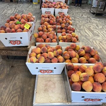 EFURD ORCHARDS - Updated December 2025 - 59 Photos & 37 Reviews - 4004 ...