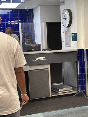 GREYHOUND BUS LINES - Updated December 2025 - 97 Photos & 206 Reviews ...