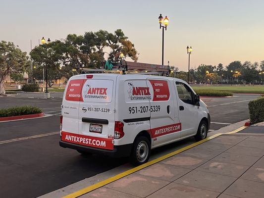 ANTEX EXTERMINATING - Updated December 2025 - 120 Photos & 40 Reviews ...