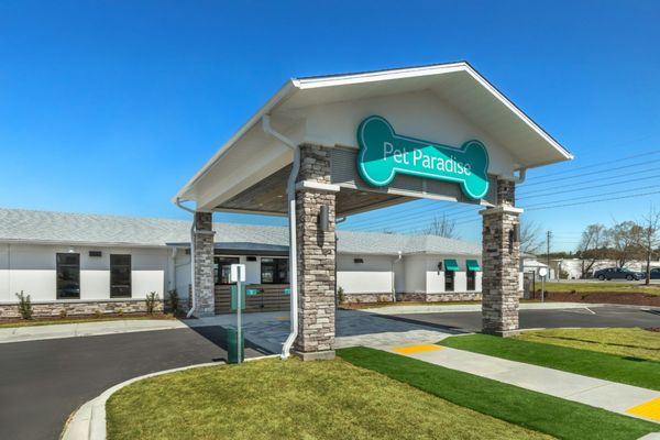 PET PARADISE - Updated December 2025 - 12 Photos - 951 Roberts Branch ...