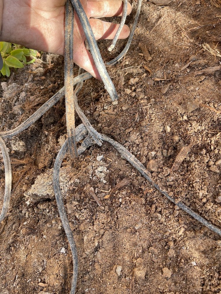 TREELINE LANDSCAPE SERVICES - Updated June 2025 - 341 Photos & 12 ...