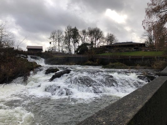 BREWERY PARK AT TUMWATER FALLS - 29 Photos - 110 Deschutes Way SW ...