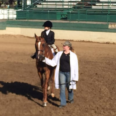 RENO TAHOE EQUESTRIAN CENTRE - 19 Photos - 2455 Rhodes Rd, Reno, Nevada ...