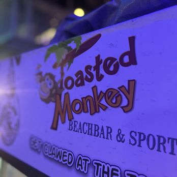 TOASTED MONKEY - Updated July 2024 - 421 Photos & 560 Reviews - 678 ...