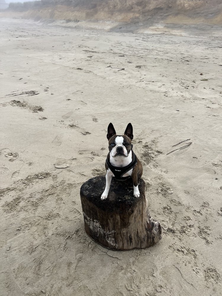 TILLICUM BEACH CAMPGROUND - Updated January 2026 - 18 Photos & 12 ...