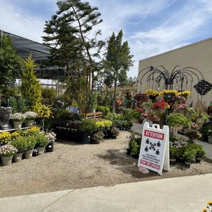 LOUIE’S NURSERY - 257 Photos & 147 Reviews - 16310 Porter Ave ...