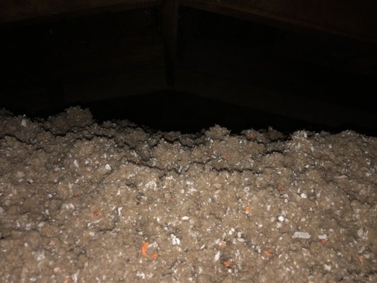 EVERGUARD HOME INSULATION - Updated September 2024 - 106 Photos & 376 ...