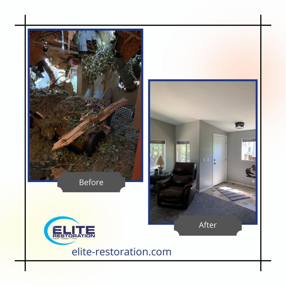 ELITE RESTORATION - IDAHO FALLS - Updated October 2025 - 30 Photos ...