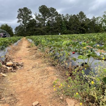 ENO RIVER FARM - Updated June 2025 - 108 Photos & 46 Reviews - 2127 St ...