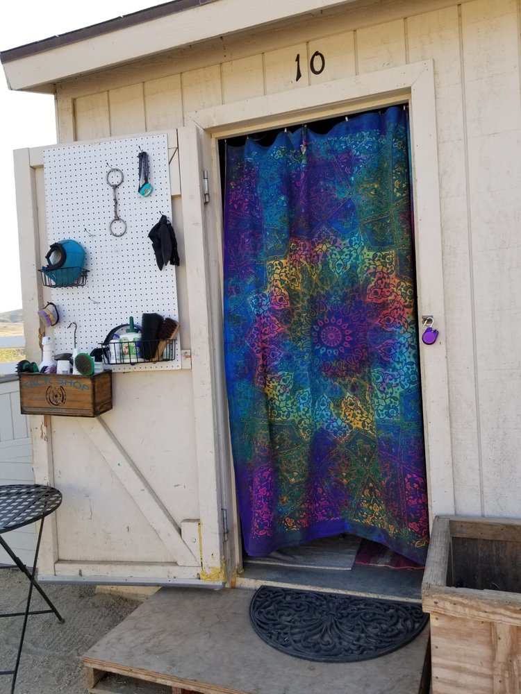 STEPP STABLES - Updated January 2026 - 26 Photos & 21 Reviews - Camp ...