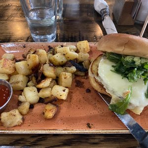 FIRST WATCH - 548 Photos & 539 Reviews - 111 W University Dr, Tempe ...