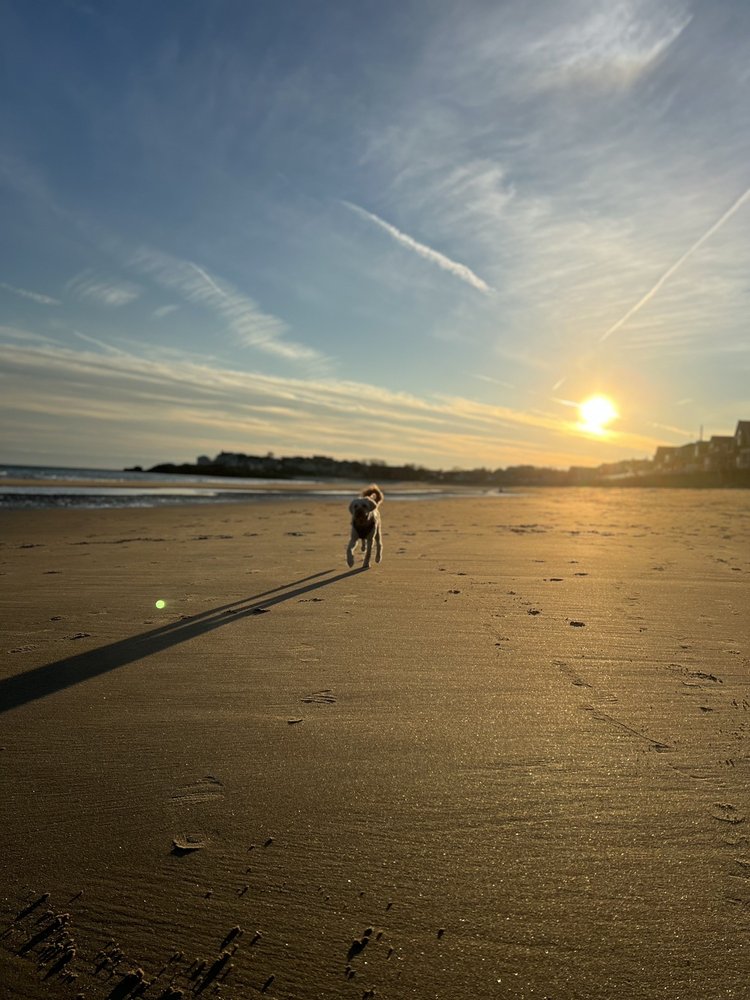 GOOD HARBOR BEACH - Updated September 2024 - 192 Photos & 155 Reviews ...