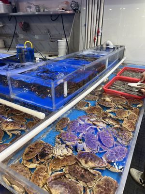 FISHMAN BUFFET - Updated February 2025 - 33 Photos - 136-20 Roosevelt ...