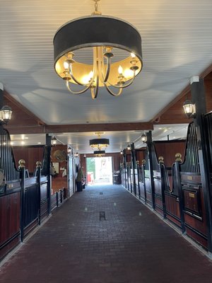 R&R RANCH MINIATURE HORSE SANCTUARY - Updated September 2025 - 12 Photos - 18222 Wild Horse ...