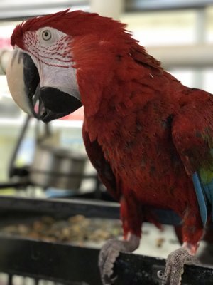 BRIAN’S TROPICAL AQUARIUM & PETS - Updated April 2025 - 47 Photos & 39 ...