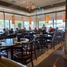 THE BLOSSOM CAFE - Updated July 2025 - 508 Photos & 580 Reviews - 8349 ...
