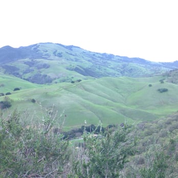 DIABLO FOOTHILLS REGIONAL PARK - Updated January 2026 - 244 Photos & 45 ...