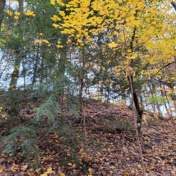 WALHALLA RAVINE - Updated July 2025 - 18 Photos - Walhalla Rd, Columbus ...