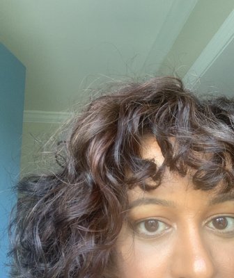 CURL EVOLUTION - Updated August 2024 - 97 Photos & 125 Reviews - 233 E ...
