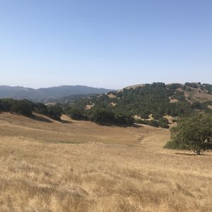 MT. BURDELL OPEN SPACE PRESERVE - 174 Photos & 42 Reviews - Novato ...