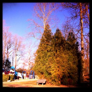 BOGAN PARK - Updated December 2025 - 37 Photos & 28 Reviews - 2723 N ...