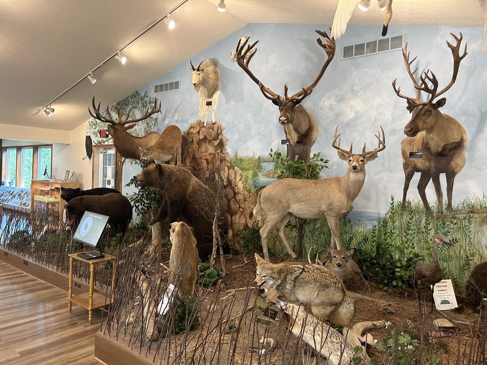 Lake Erie Island Nature & Wildlife Center, Ohio | Roadtrippers