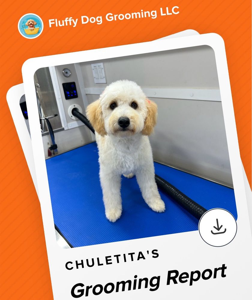 FLUFFY DOG GROOMING - Updated September 2025 - 25 Photos - 1708 Spring ...
