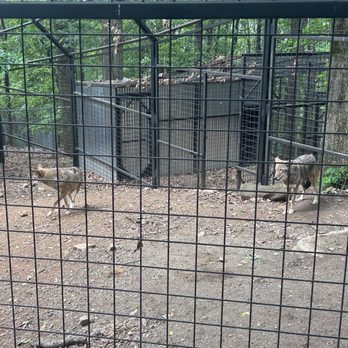 MILL MOUNTAIN ZOO - Updated December 2025 - 107 Photos & 37 Reviews - 2404 Prospect Rd, Roanoke ...