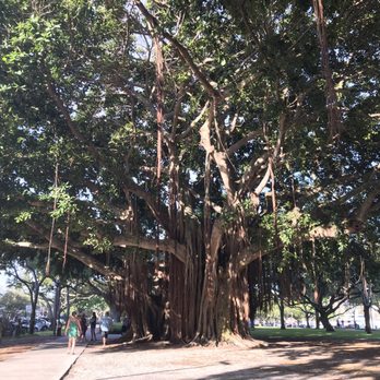 NORTH STRAUB PARK - Updated September 2025 - 124 Photos & 19 Reviews ...