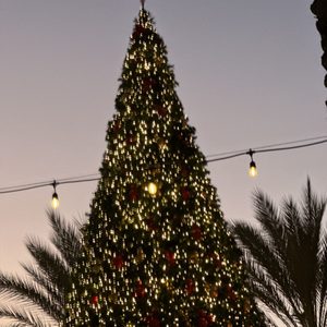 RUBIDOUX DRIVE-IN THEATRE & SWAP MEET - 105 Photos & 137 Reviews - 3770 ...