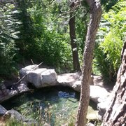 CARLITO SPRINGS - 91 Photos & 25 Reviews - 82 Carlito Springs Rd, Cedar ...