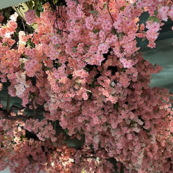 AMBAR SHAW - Updated October 2024 - 309 Photos & 124 Reviews - 1547 7th ...