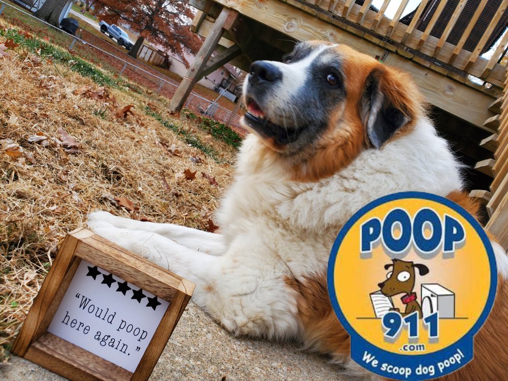 POOP 911 - NORTH KANSAS CITY - Updated September 2025 - 28 Photos - St ...