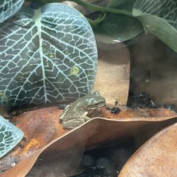 EAST BAY VIVARIUM - Updated January 2026 - 726 Photos & 619 Real ...