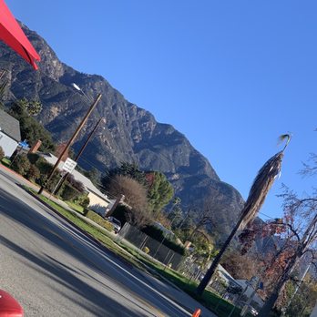 THE LITTLE RED HEN COFFEE SHOP - 252 Photos & 268 Reviews - 2697 Fair ...