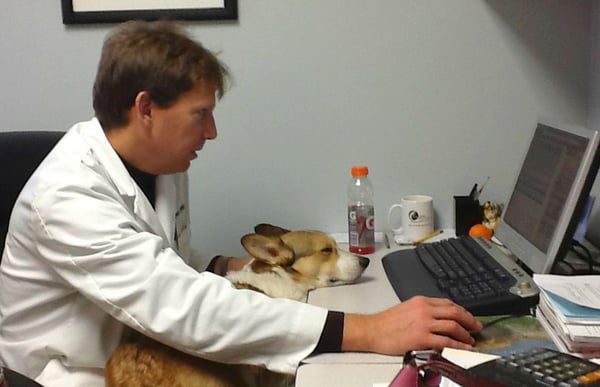 BECKER ANIMAL HOSPITAL - Updated October 2025 - 14 Photos & 40 Reviews ...