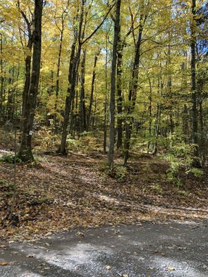 Springwater, NY Map & Directions - MapQuest