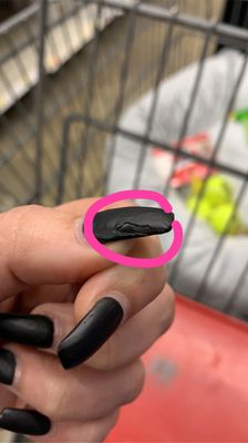 HENRY NAILS - Updated April 2025 - 49 Photos & 33 Reviews - 399 ...