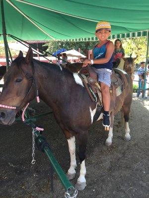 COYOTE RANCH - Updated November 2024 - 334 Photos & 68 Reviews - Coyote ...