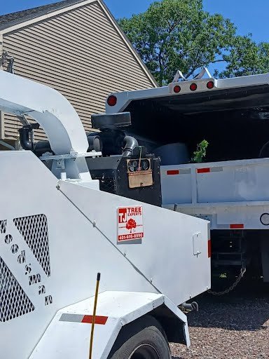 TJ TREE - Updated October 2025 - 12 Boulevard Ave, Lincoln, Rhode ...