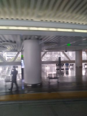 GREYHOUND BUS LINES - Updated March 2025 - 57 Photos & 205 Reviews ...