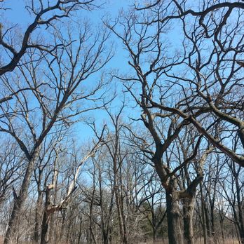 TURVILLE POINT CONSERVATION PARK - Updated May 2025 - 19 Photos - 1156 ...